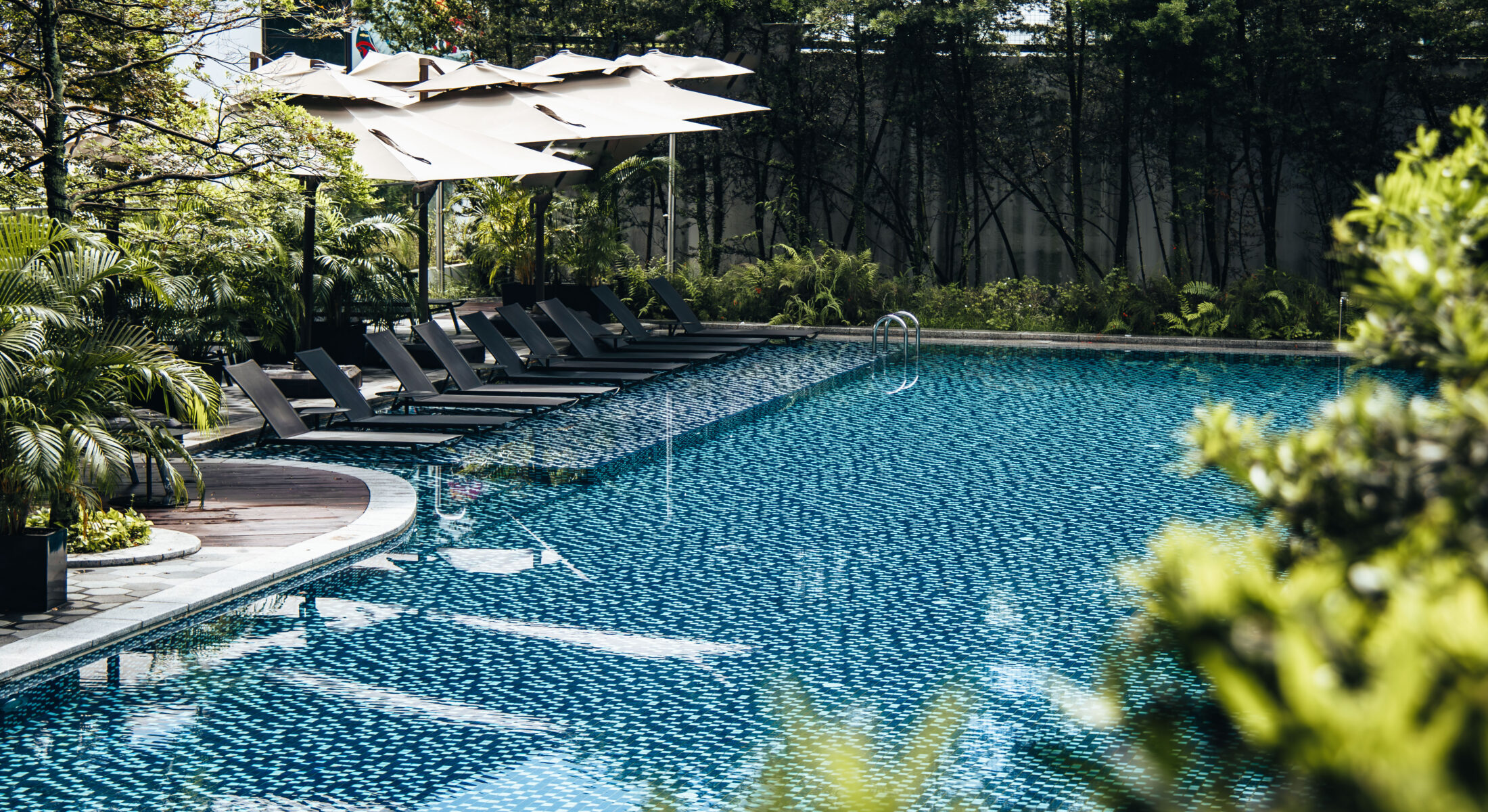 Singapore Staycation Hotel | Mercure Singapore on Stevens | Singapore ...
