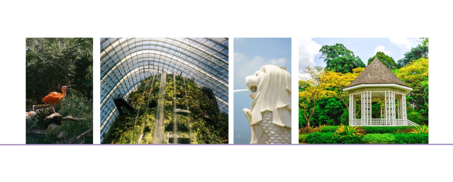 Mercure Singapore on Stevens | Singapore Orchard Road Hotel