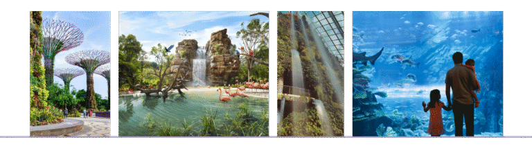 Mercure Singapore on Stevens | Singapore Orchard Road Hotel